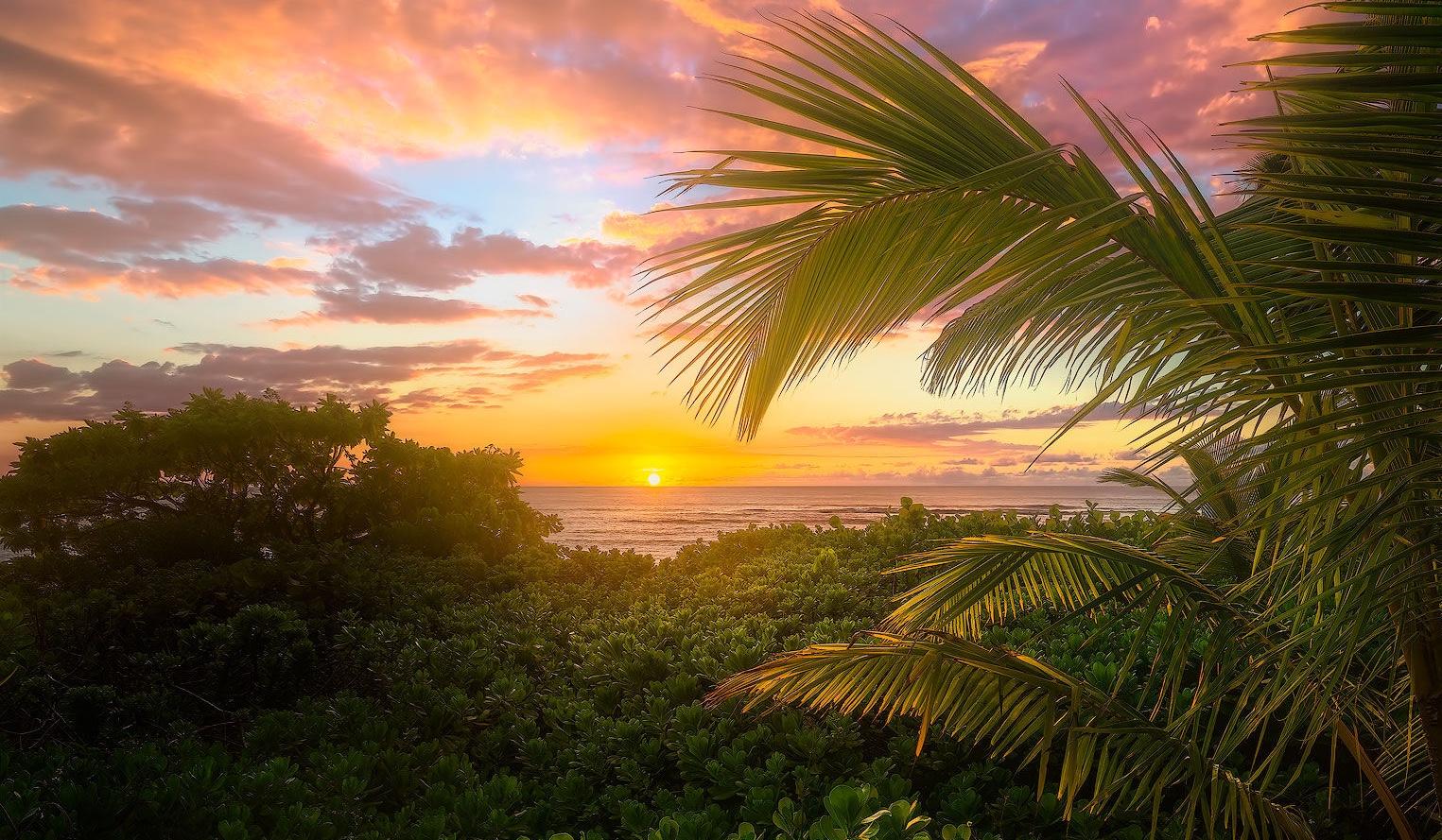 Jessica Glew and Robert Glew's Wedding Website