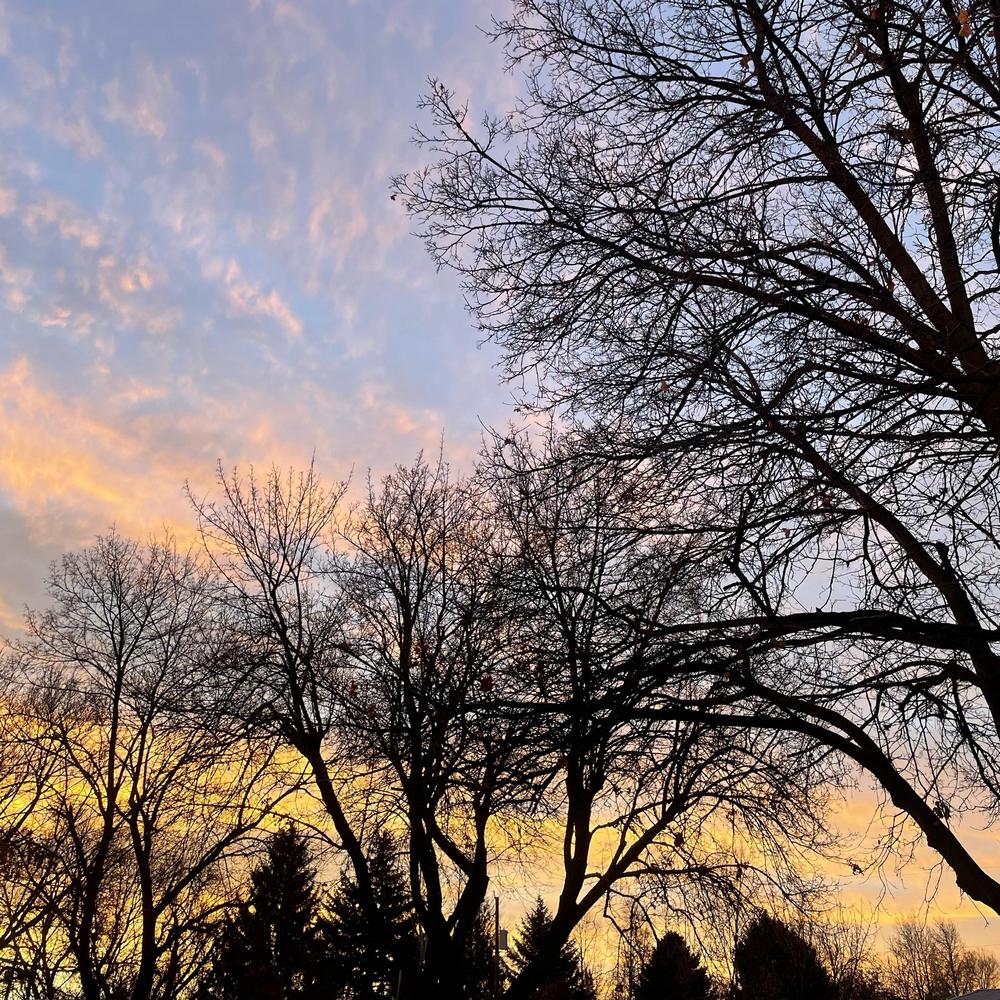 Kailie Burnside and Ethan Krupp's Wedding Website