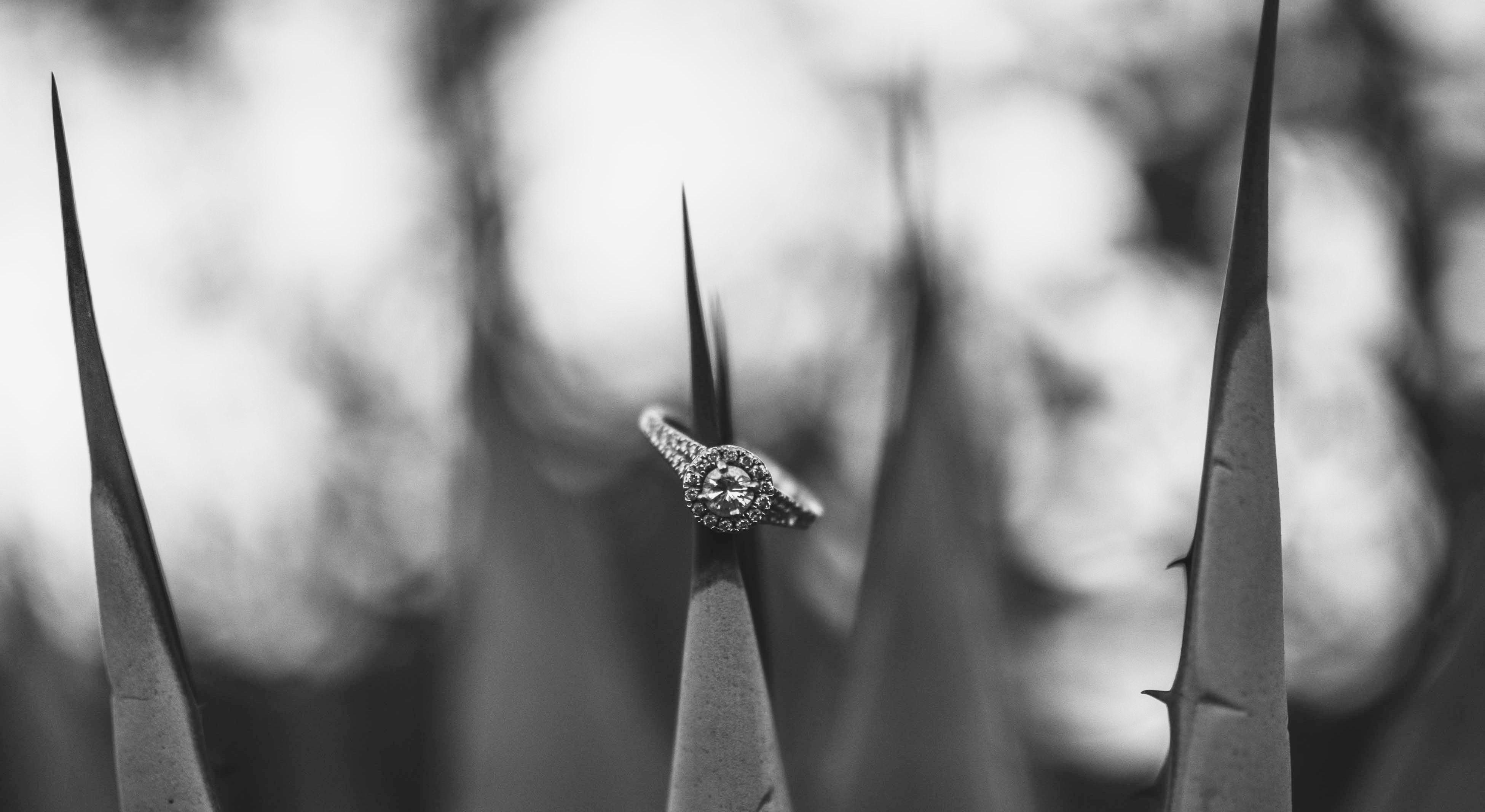 Ashley Biro and Sam Ostrowski's Wedding Website