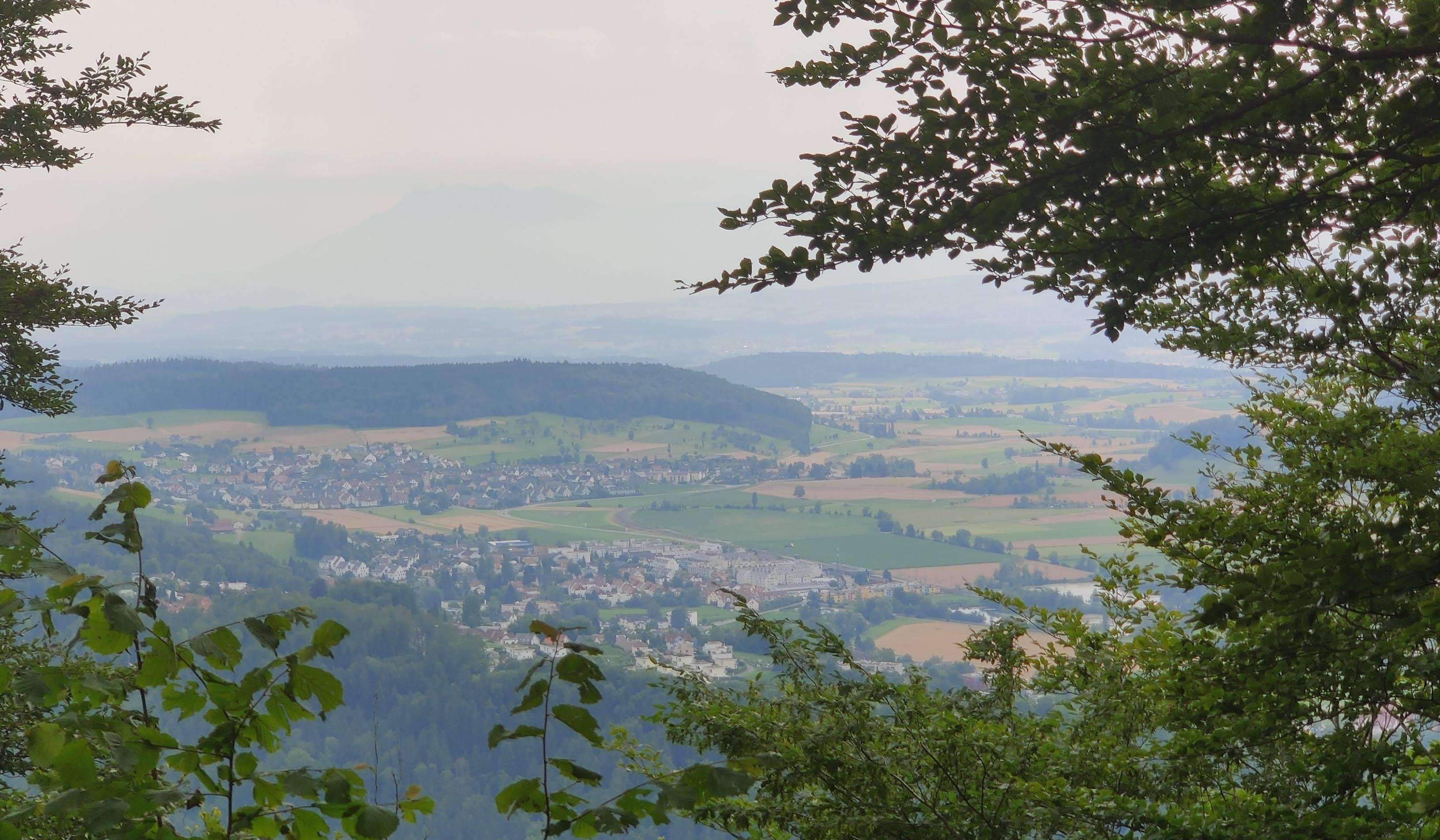 Ana Vizcaino and Harrison Knapp's Wedding Website