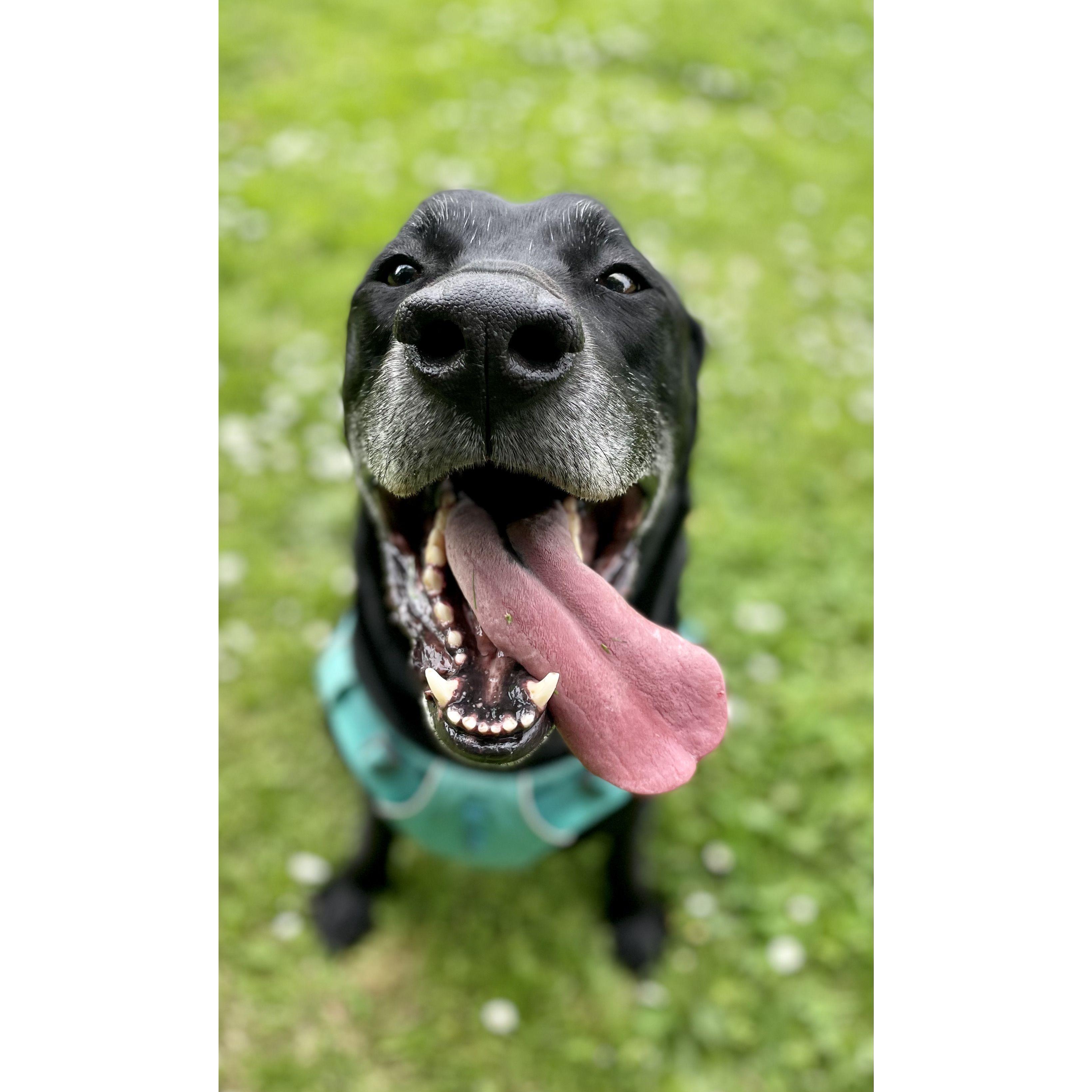 Katie Eadon and Andrew Reiland's Wedding Website