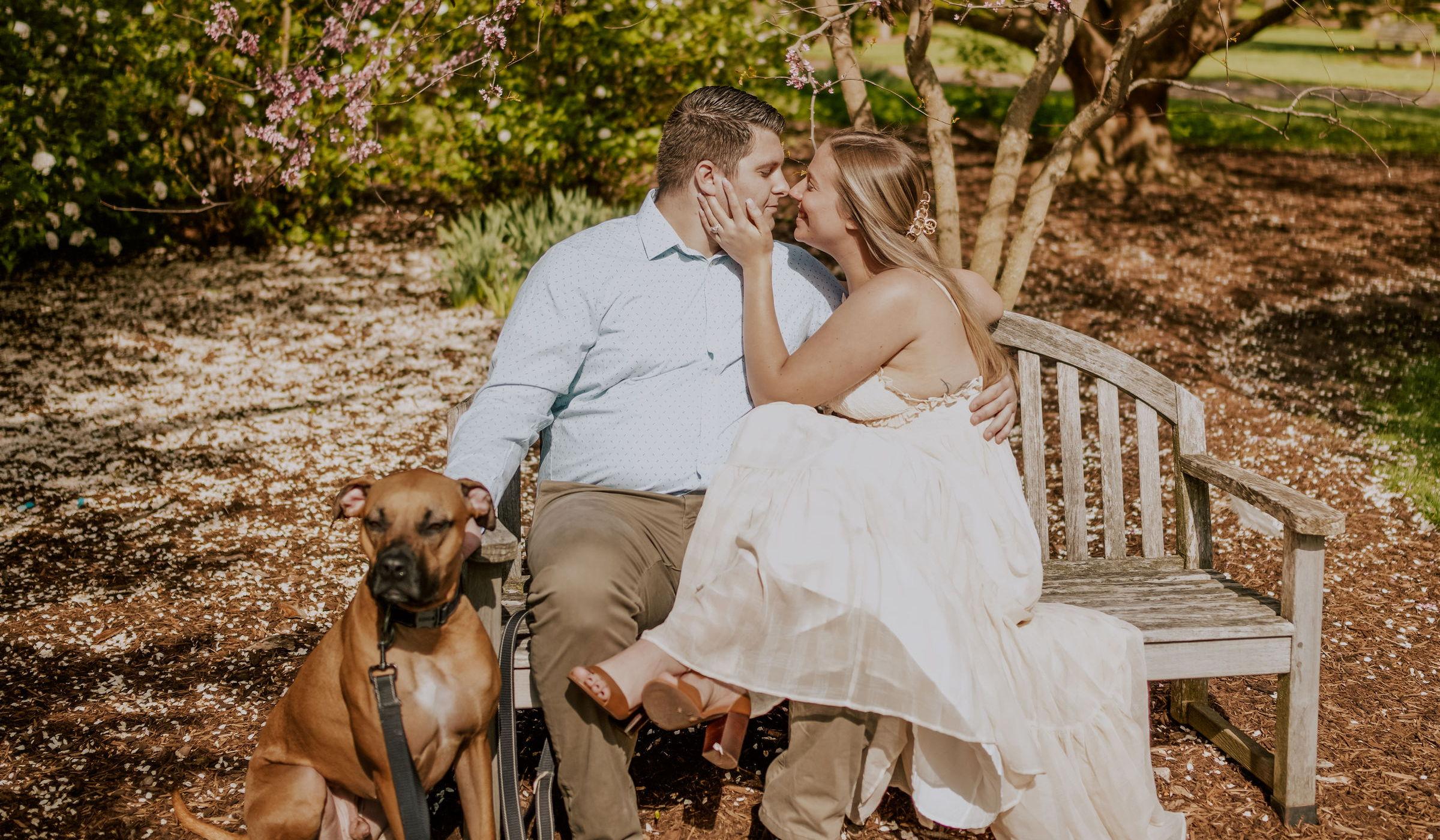 Anna Haub and Devon Tennant's Wedding Website