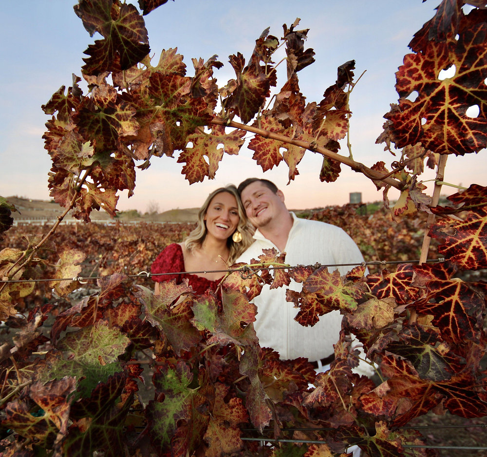 Meagan Hayes and Shea Stevens' Wedding Website
