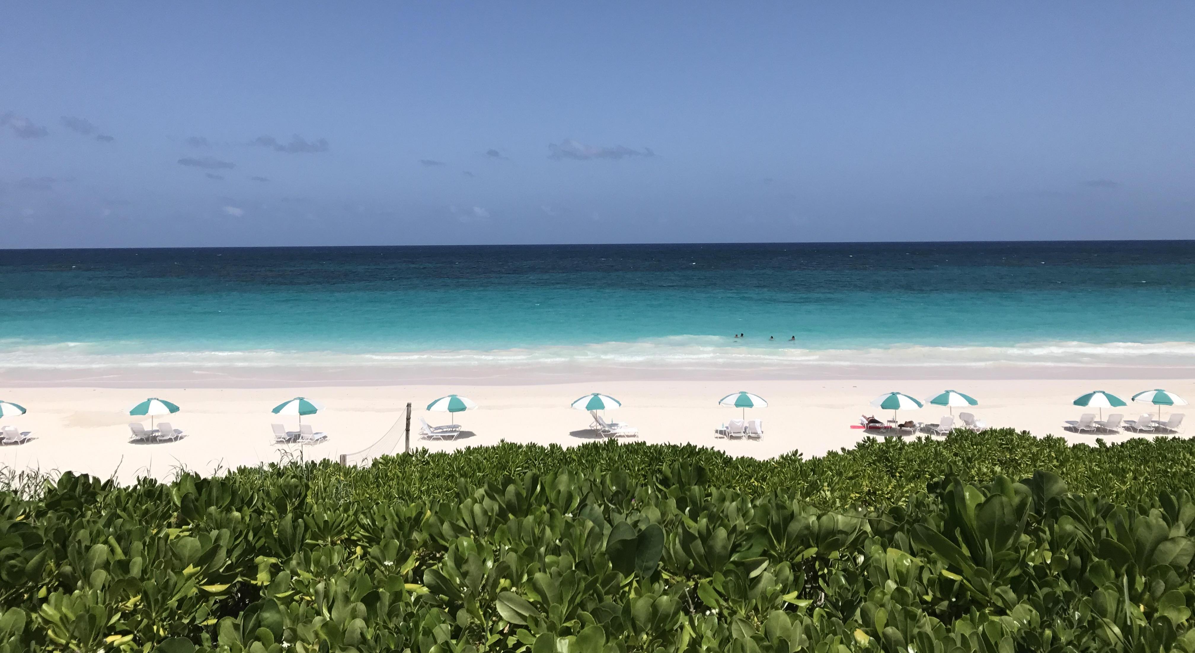 Paloma Ferreyros and Tasio Victoria's Wedding Website