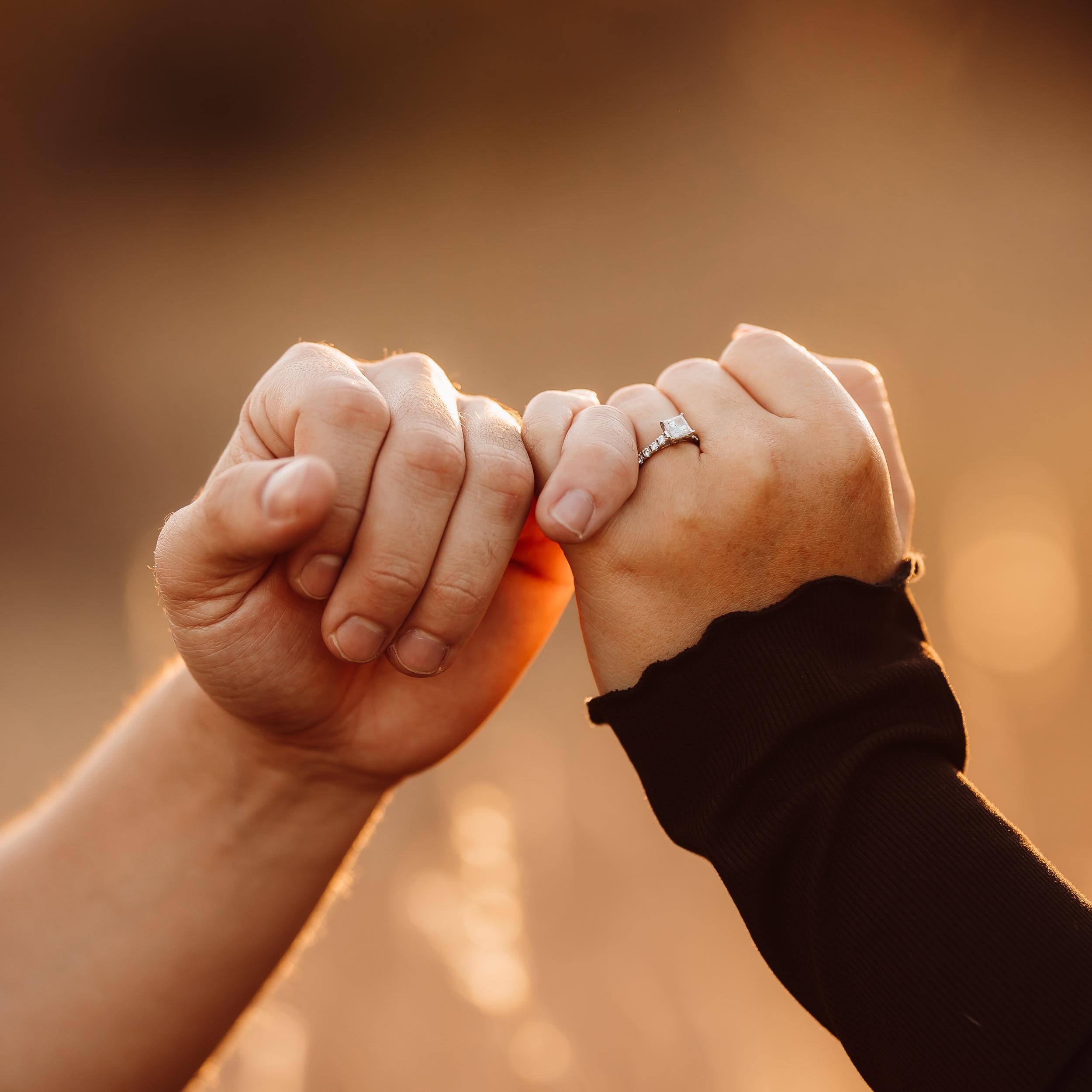 Rosalind Herrera and Matthew Mcdonald-Rosario's Wedding Website