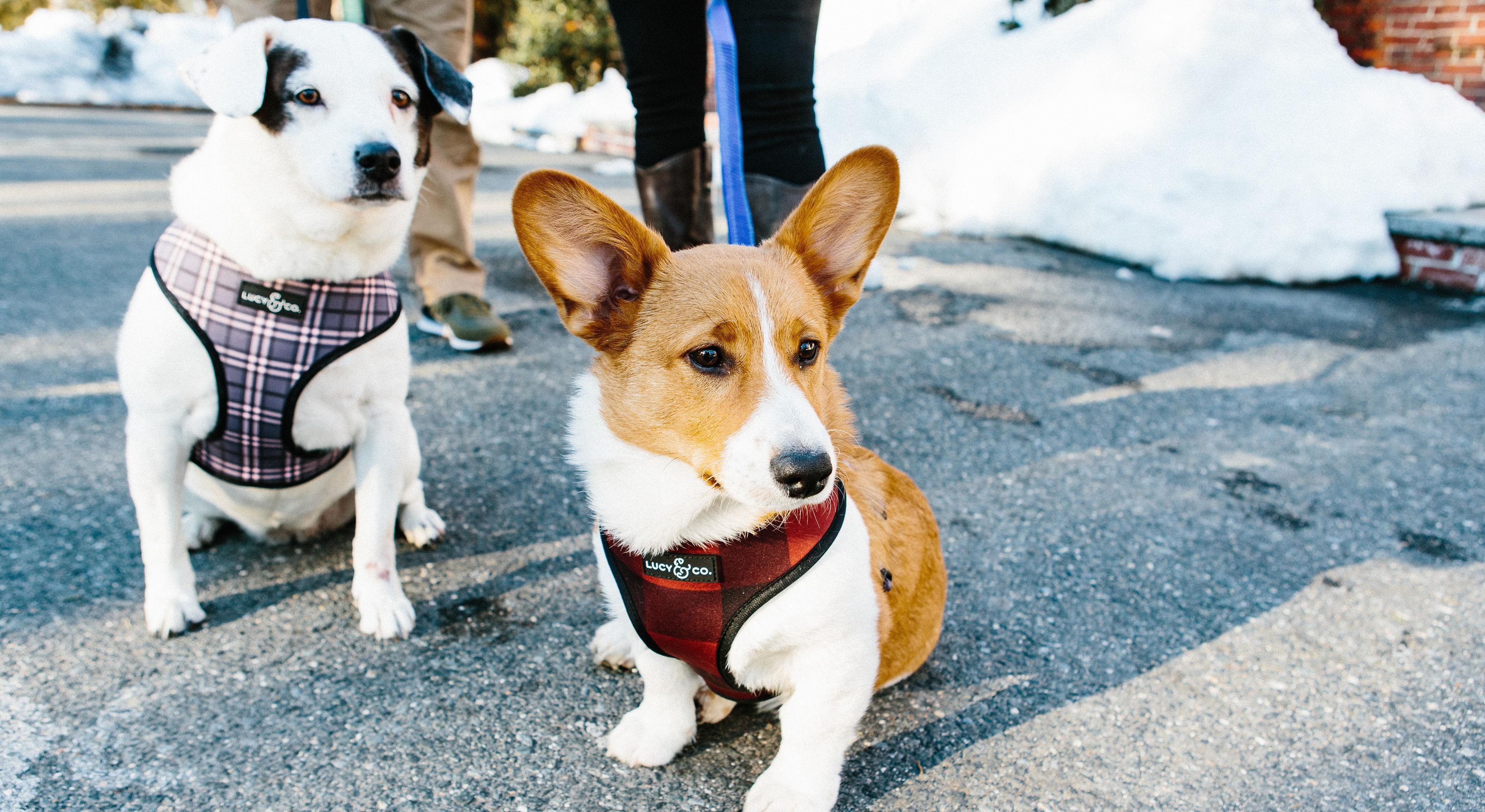 Kristin McGrath and Parker Landreth's Wedding Website