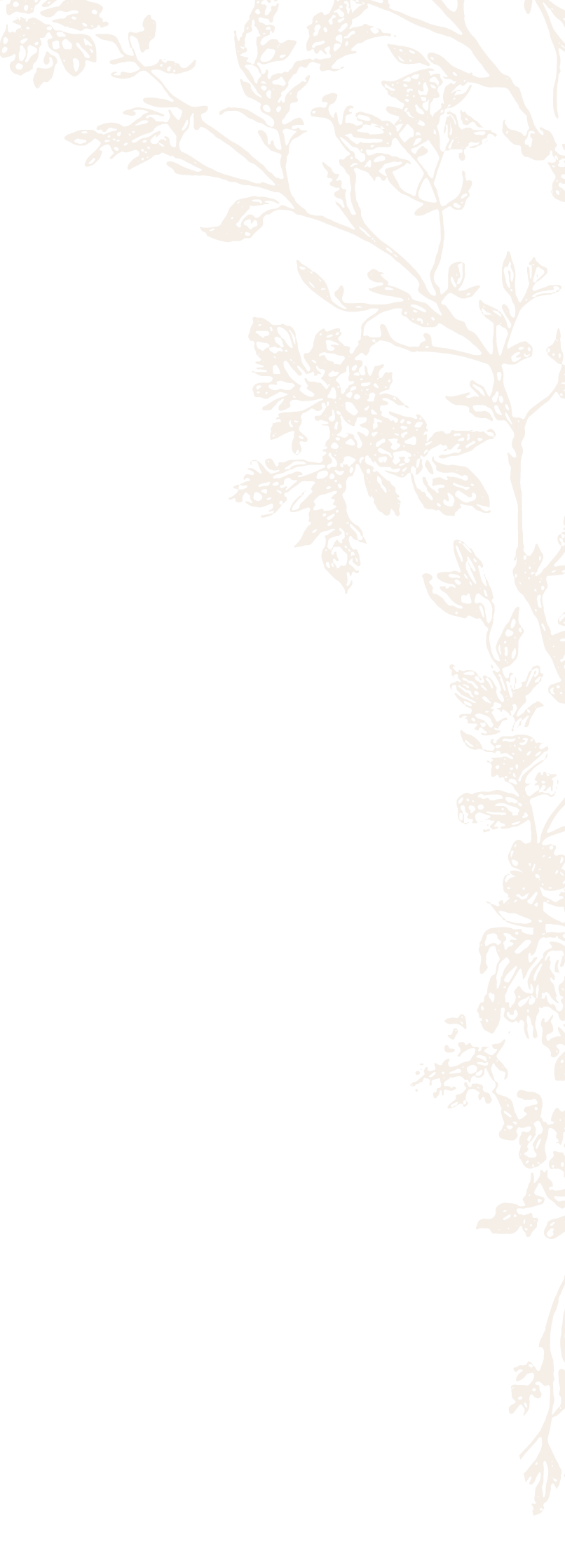 Natalie Cozzi and Donald Kelly's Wedding Website