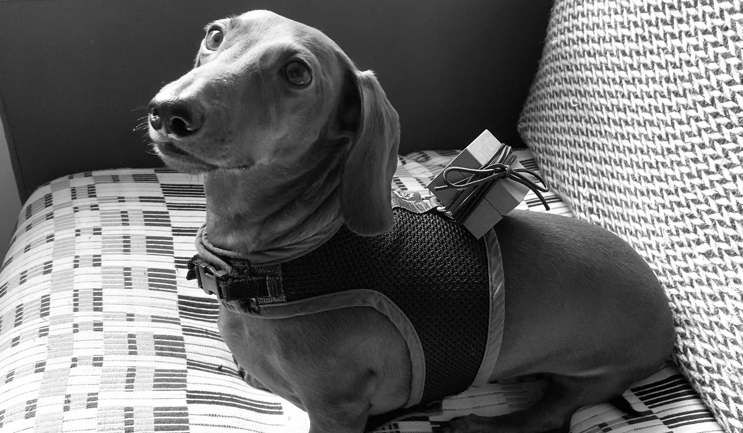 Amanda Duberman and Michael Jin's Wedding Website