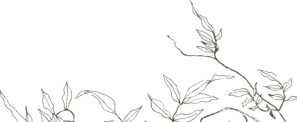 Kelly Luisi and Zach Heller's Wedding Website