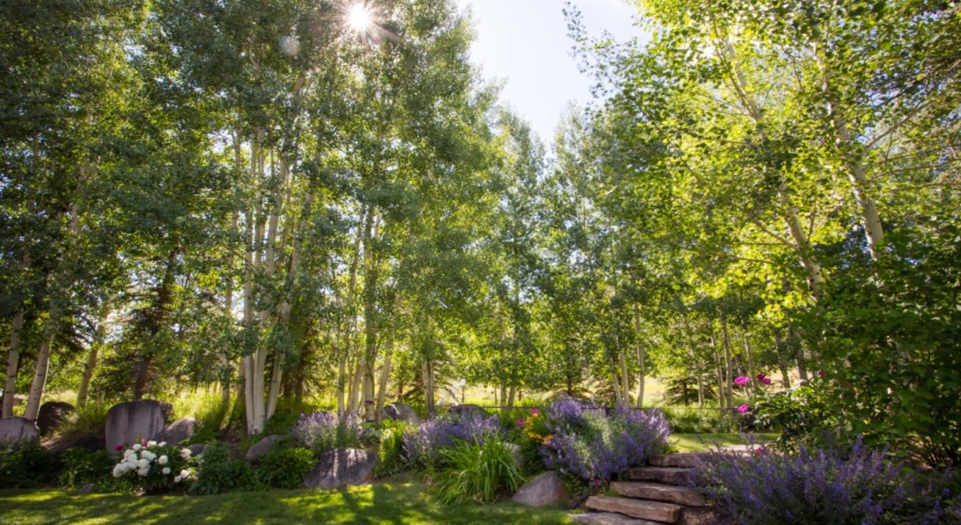 Leslie DeRose and Jonathan Galli's Wedding Website