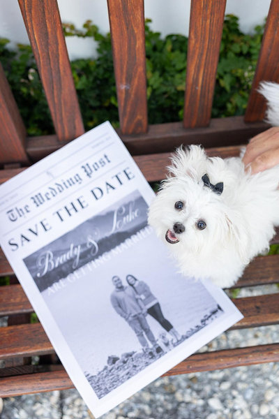 Brady Cook and Luke Nguyen's Wedding Website